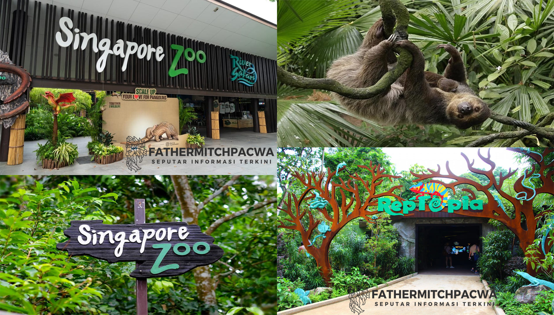 The Singapore Zoo: A World-Class Wildlife Experience