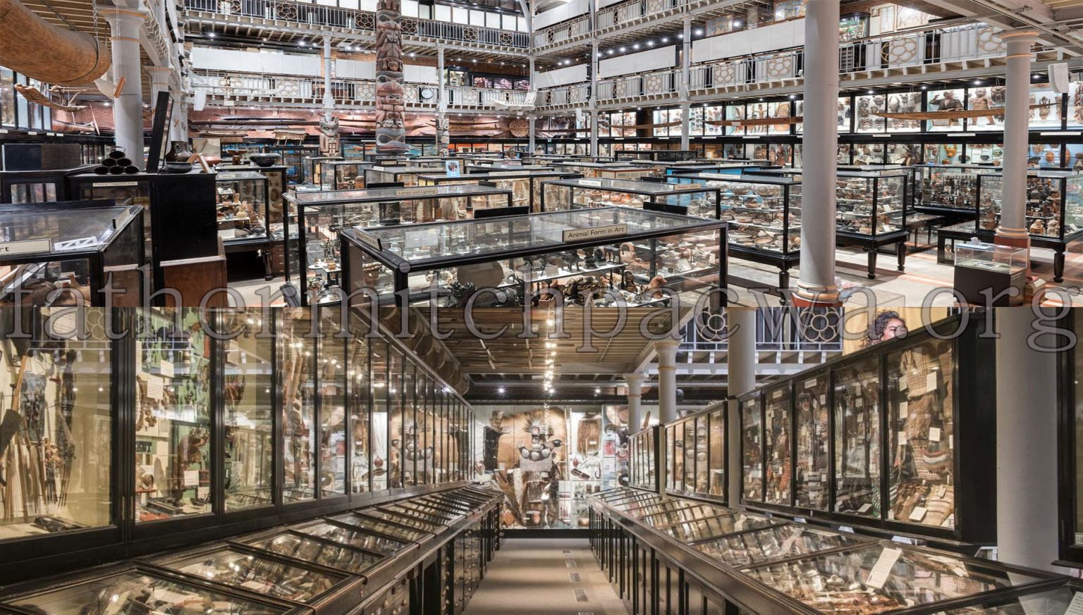 Exploring the Wonders of the Pitt Rivers Museum: