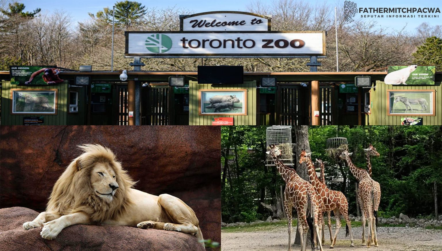 Toronto Zoo: Discover the Wild Side of Canada